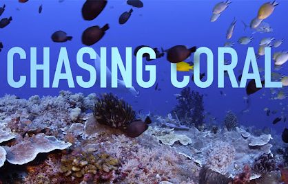 Review Film Chasing Coral (2020) - El Samara
