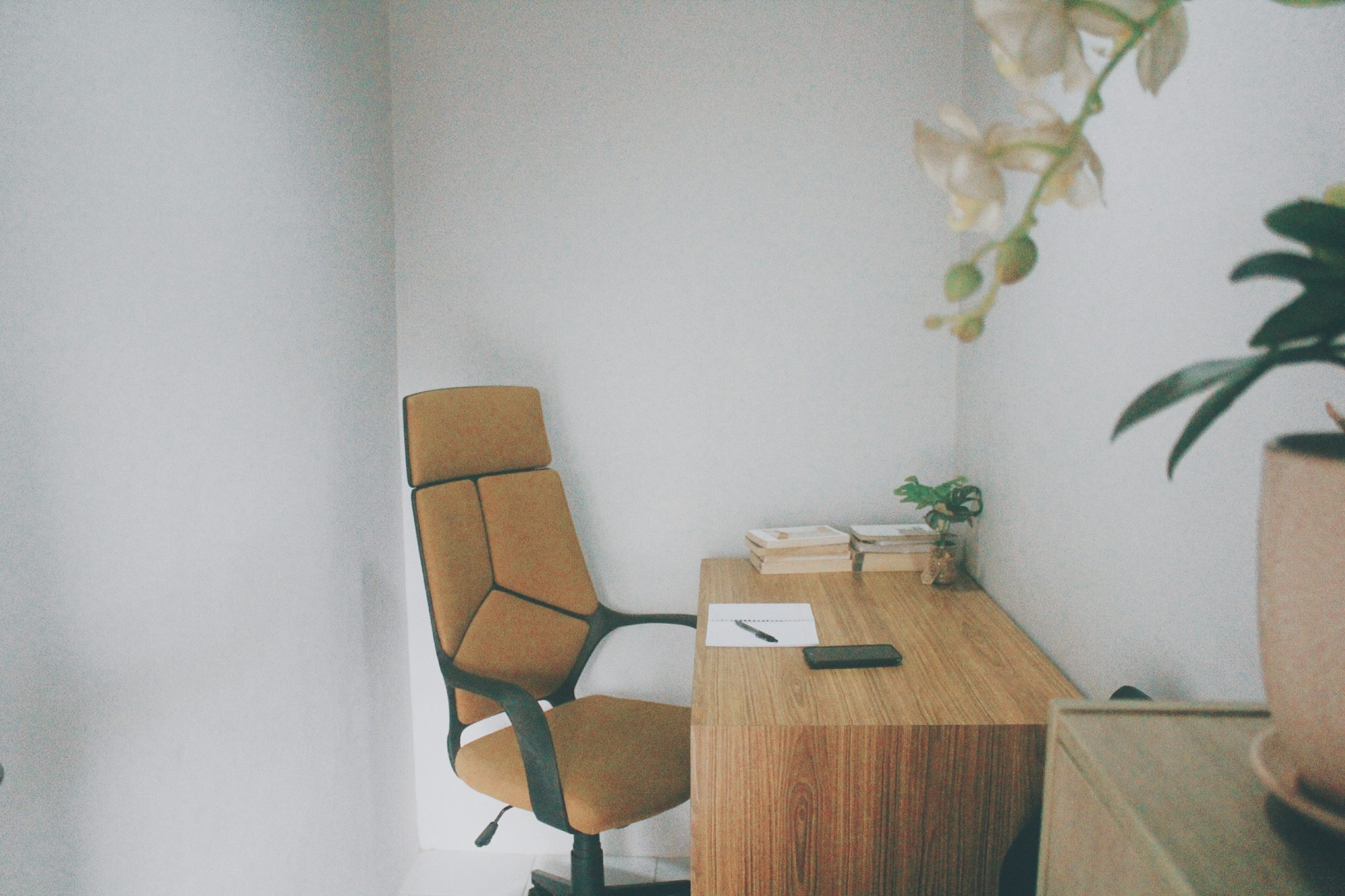 Tempat Kerja Kekinian di Solo: Private Office El Samara Mulai 2,5 Juta ...